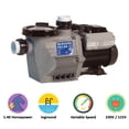 Waterway Plastics MS-140 Mustang 1.40HP VS Pump - Walmart.com