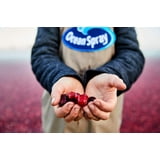Ocean Spray Cran-Watermelon Juice Drink, 64 Ounce Bottle (Pack of 24 ...