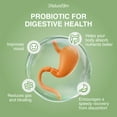 NaturalSlim Good Flora 2-Pack Probiotic Supplement for Digestive Health ...