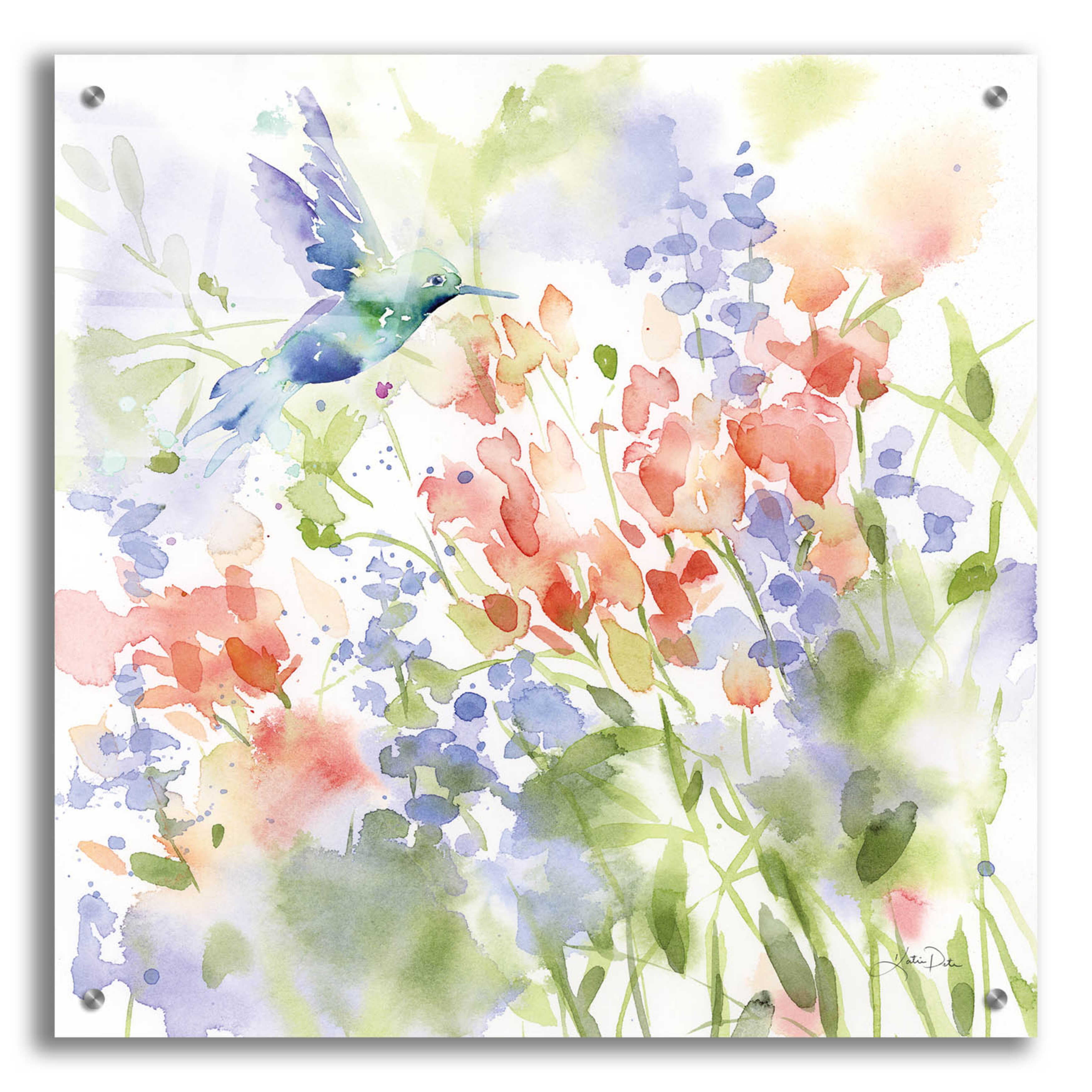 Epic Art 'Hummingbird Meadow' by Katrina Pete, Acrylic Glass Wall Art ...