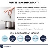 Lucky Iron Fish® Cooking Tool Adds Iron to Food. Reusable for 5 Years ...