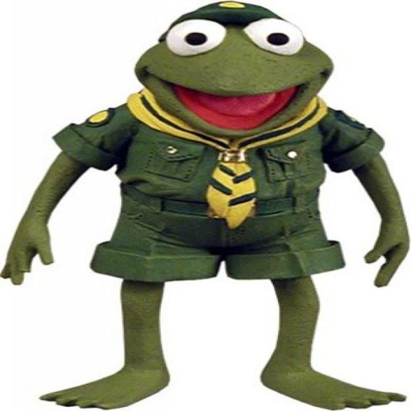 Jim Henson's Muppets Series 7: Frog Scout Robin - Walmart.com - Walmart.com