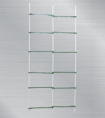 Mr. Garden Expandable Trellis,Plant Ladder,Support Ladder,Tomato ...