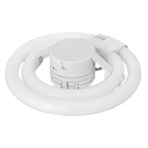 Lithonia 2CT6 4-Pin Replacement Circline Light Bulb - Walmart.com