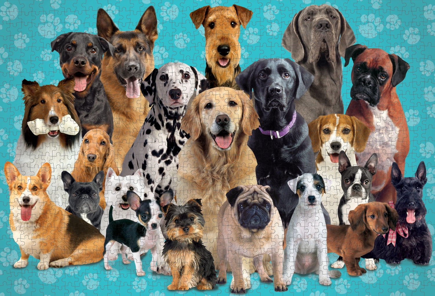 Paper House Productions Best Friends Dog Collage 1000-piece Jigsaw ...