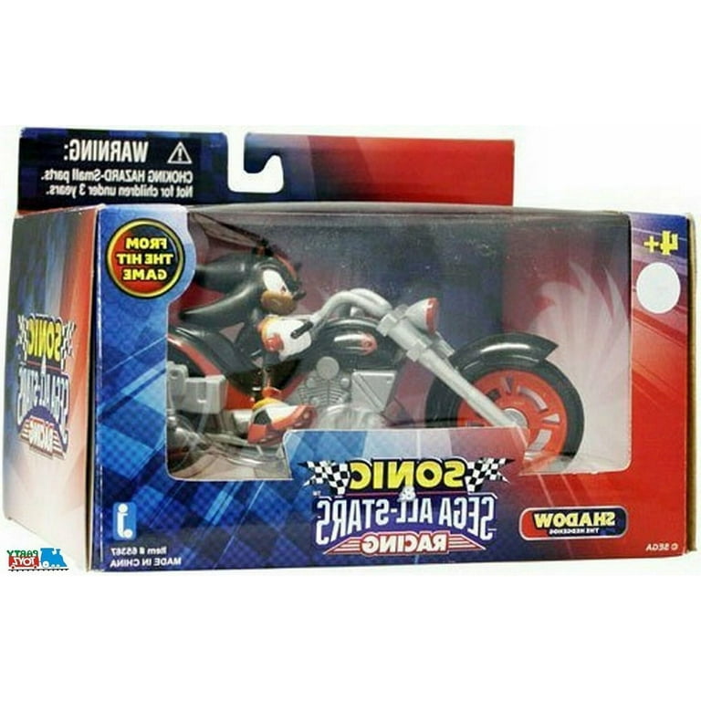 Shadow The Hedgehog On His Motorcycle