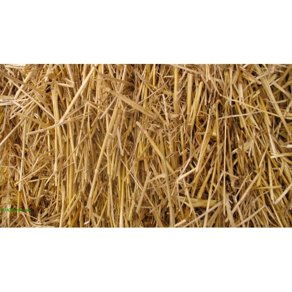 Straw Bedding