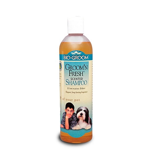 Bio-groom groom 'n fresh shampoo, 12-oz bottle - Walmart.com