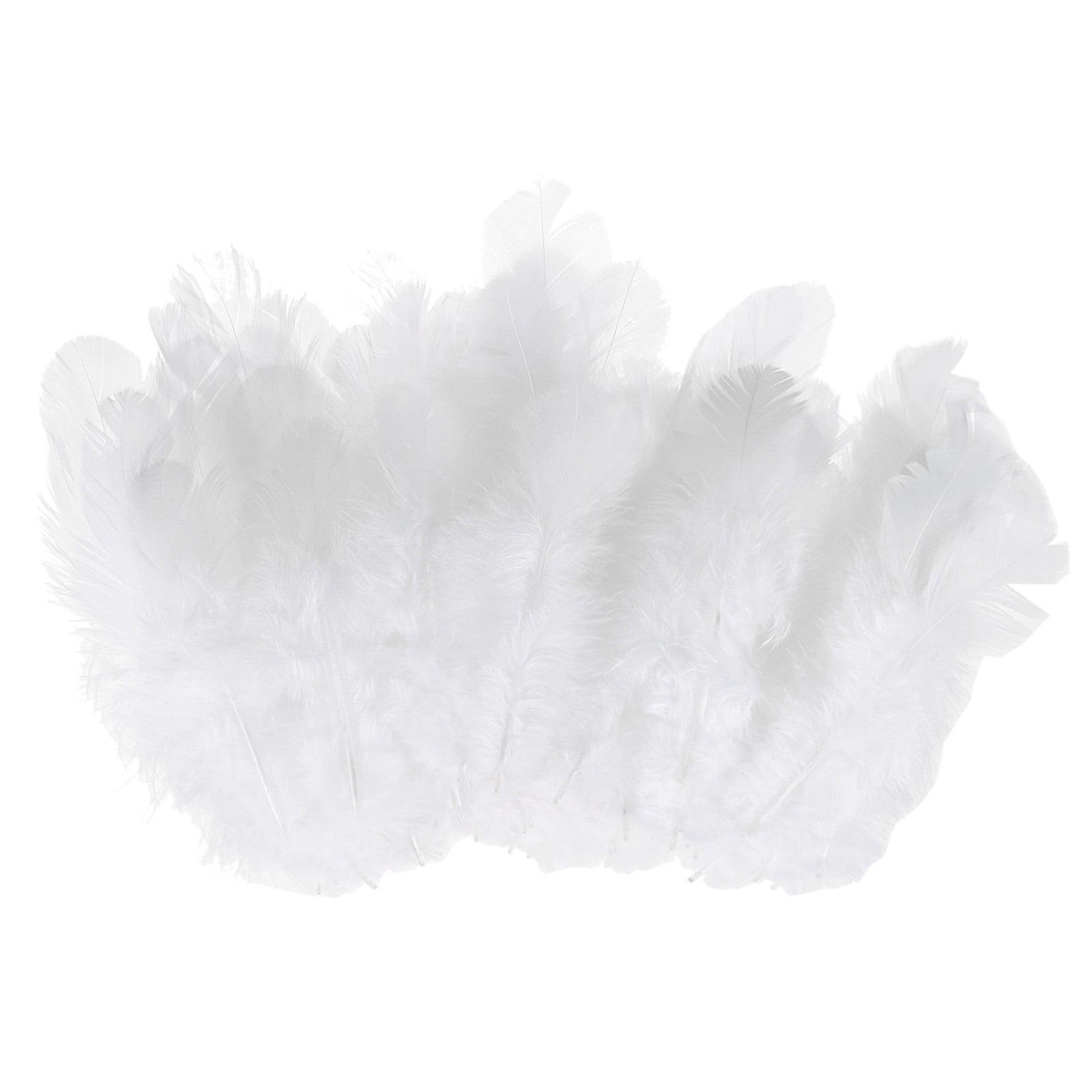 Click here for Uxcell 600-Pack Feathers For Crafting  White 1.57-... prices
