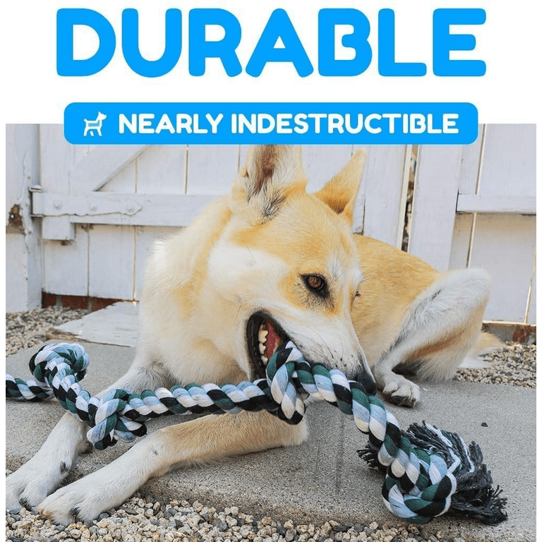 Giant dog rope store