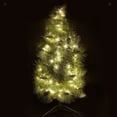 10ft (3m) 30 LEDs Fairy LED Wire String Lights, Starry Lights, Warm ...