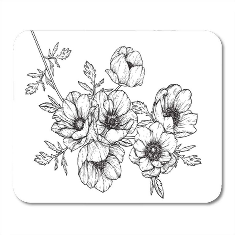Anemone Flower Drawing