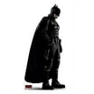Advanced Graphics 1700 Robin - Arkham Origins Game Cardboard Cutout ...