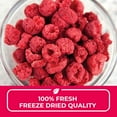Freeze Dried Raspberries | 100% Natural, Healthy Fruit Bulk | & Crispy ...