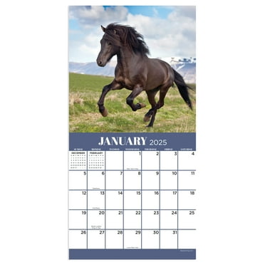 TF Publishing, Maxine 2025 Mini Wall Calendar - Walmart.com
