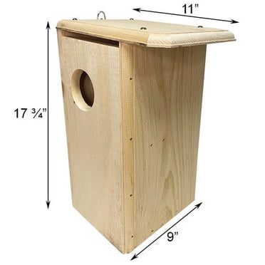 JCs Wildlife Outdoor Material Plywood Squirrel Nesting House Box ...