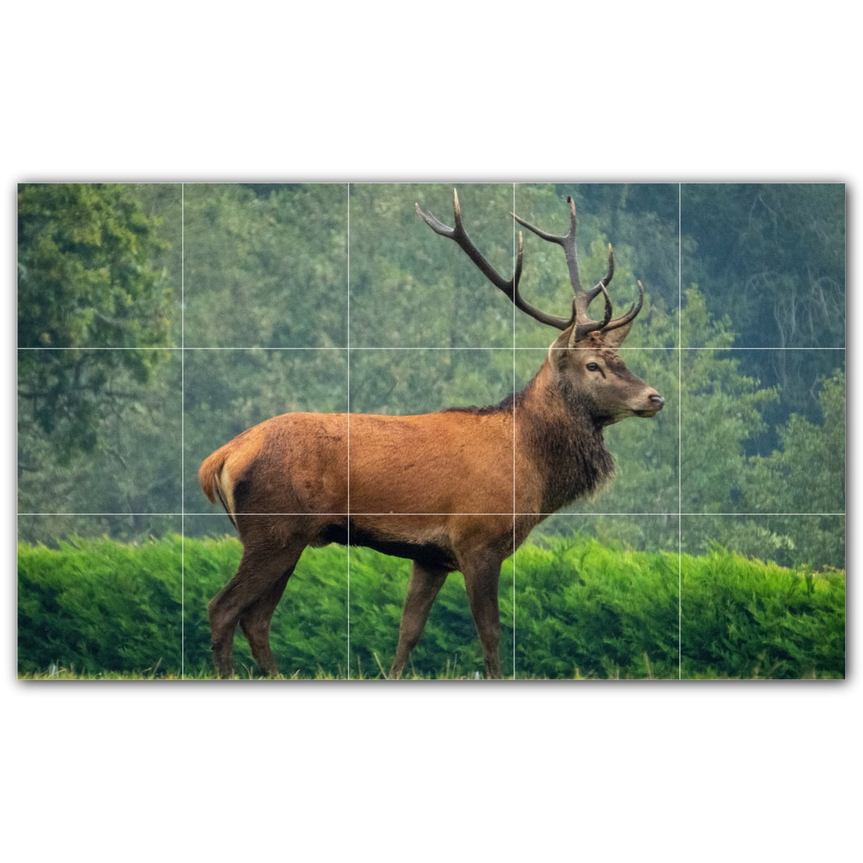Picture-Tiles.com: Deer Ceramic Tile Wall Mural WAL500441-53M. 30"W x ...