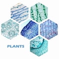 200 Packs Microscope Slides, 100 Plants & 100 Animal Tissues Includes ...