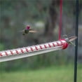 Practical Tube Hanger Hole Birds Feeding Feeder Transparent Pipe ...