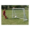 BSN Sports 6' x 4' Backyard Soccer Goal - Walmart.com