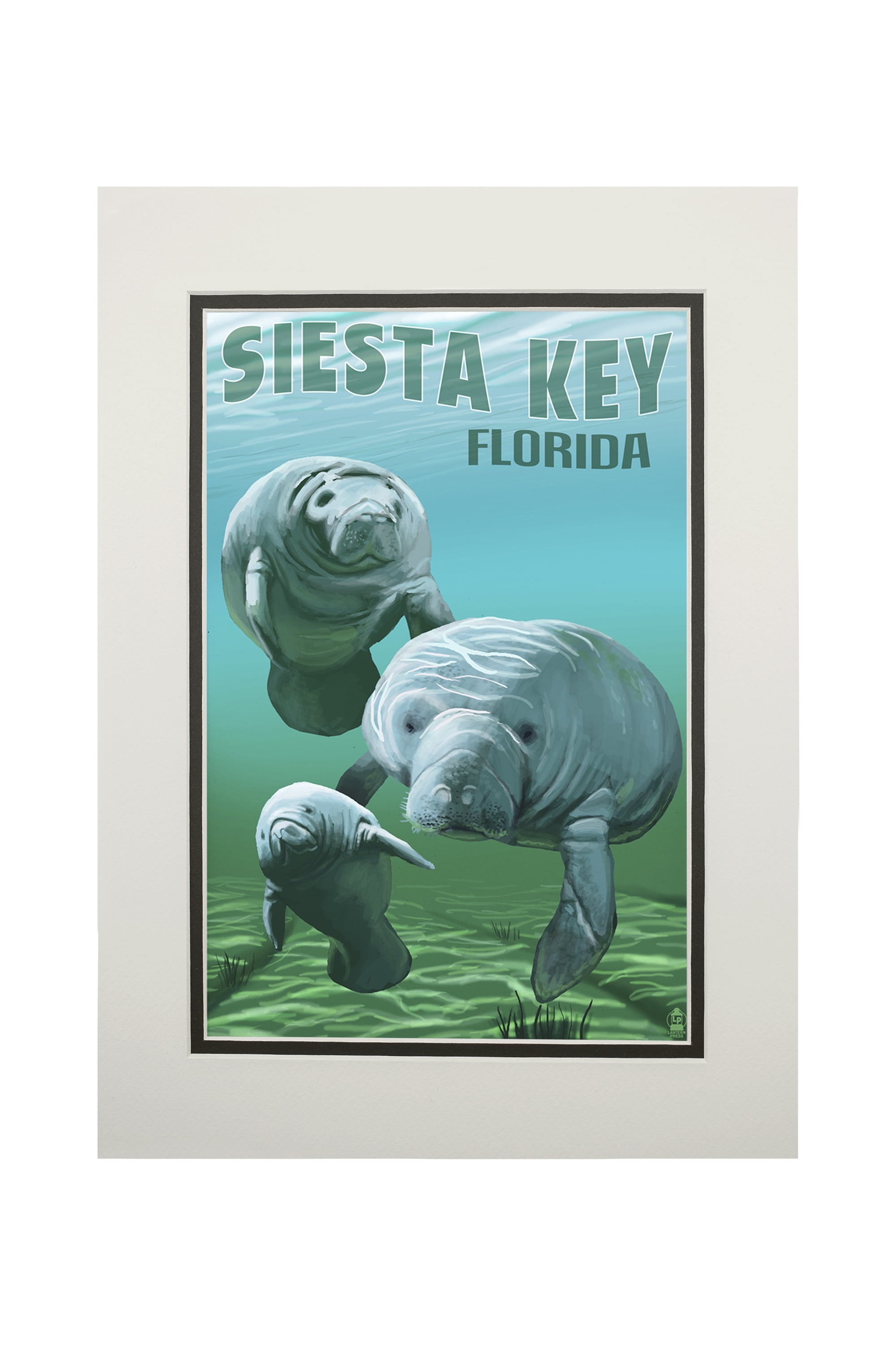 Siesta Key, Florida, Manatees, Lantern Press Poster - Walmart.com