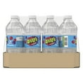 Splash Blast, Flavored Water Beverage, Wild Berry Flavor, 20 Fl Oz ...