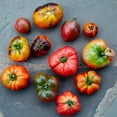 Box Car Willie Boxcar Heirloom Premium Seeds for Planting - Walmart.com