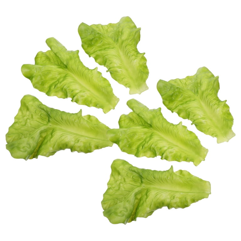 Toy Lettuce