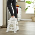 Casafield 13" Foldable Step Stool with Handle for Adults - White ...
