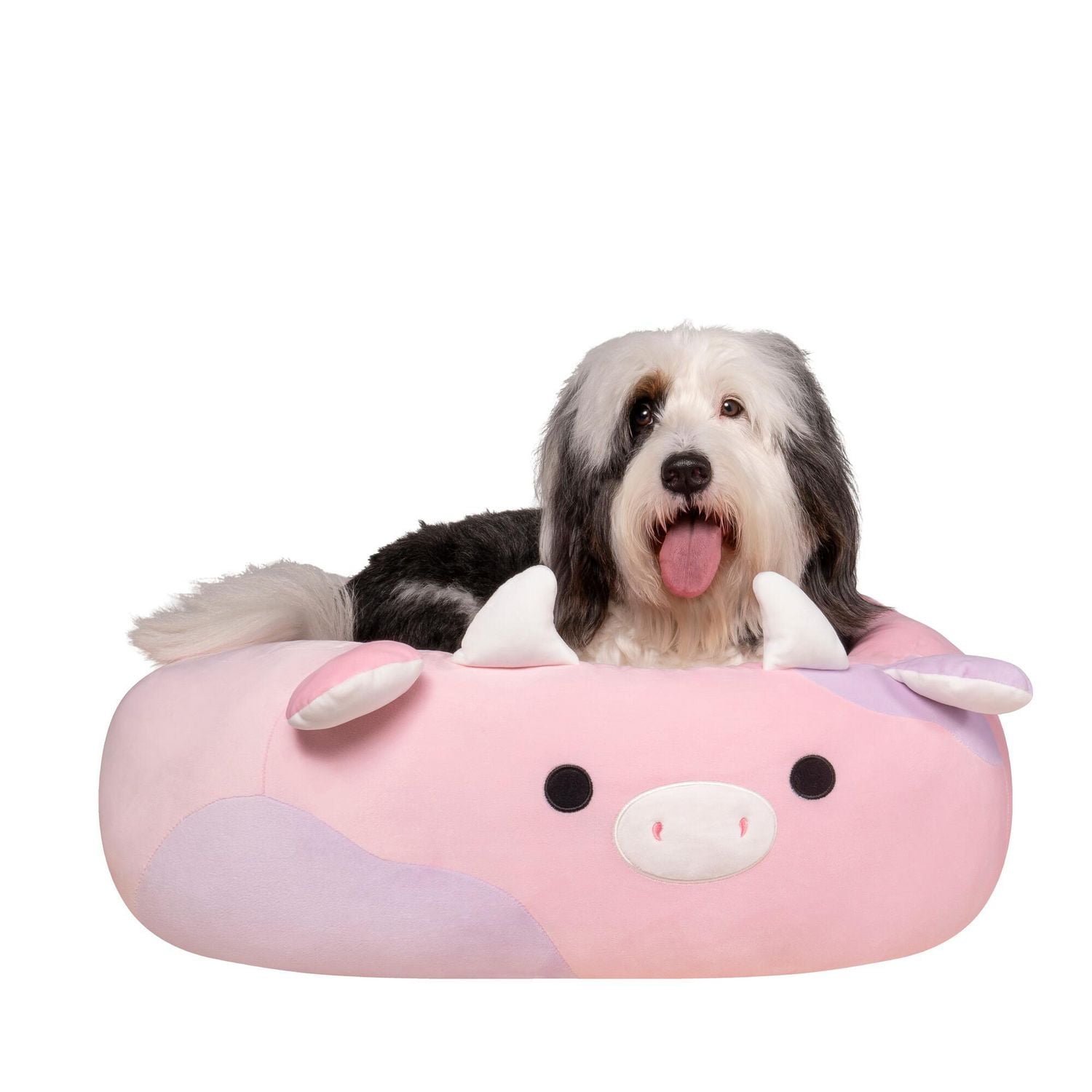 Click here for Squishmallows Dog Bed - Cat Bed Bed - Patty The Co... prices