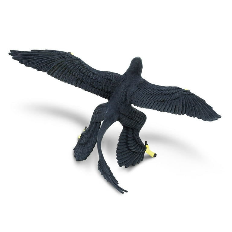 Microraptor