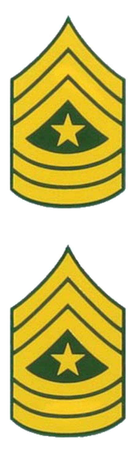 US Army E-9 SGM Rank 2-Piece 1 inch Sergeants Major Decals - Veteran ...