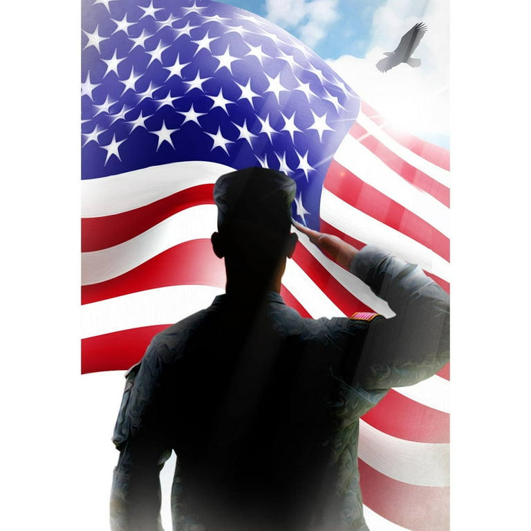 Vterans Day American Flag Veteran Day Flag, US Air Force Veterans