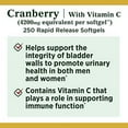 Cranberry Pills + - Health capsules for pharmacies - Walmart Business ...