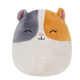 Squishmallows 5-Inch Mystery Plush - Ultra Soft, High-Quality ...