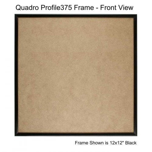 Quadro Frames 15x15 inch Picture Frame, Black, Style P375 - 3/8 inch ...