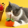 Soft Plush Dog Toys, Persimmon Shape, Built-in Catnip, Interactive Fun ...