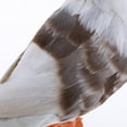 Simulated Seagull Artificial Bird Vivid Garden Home Decor Props ...