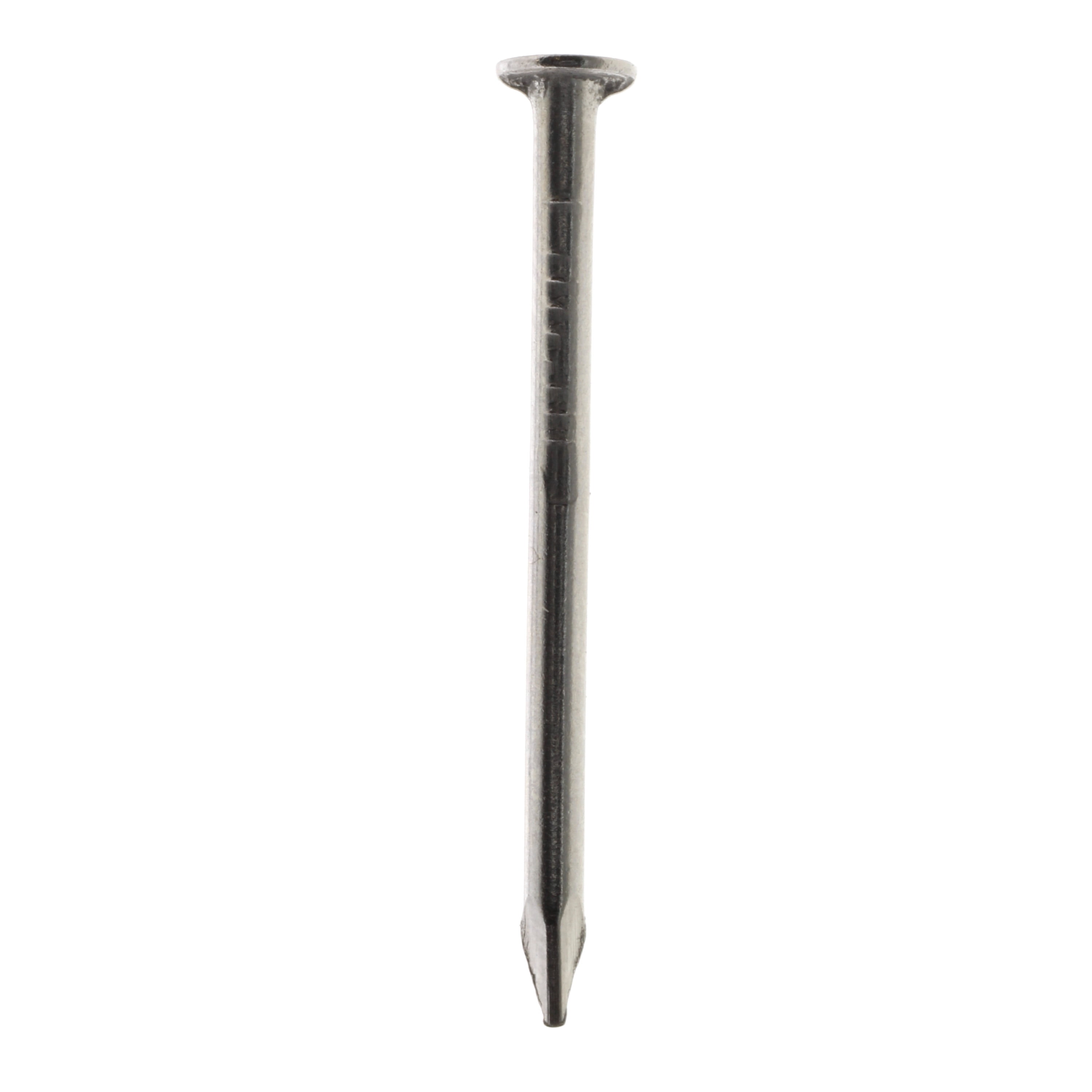 Bulldog Hardware 1 in. 16 Gauge Stainless Steel Nail, 1.5 oz. Pack ...