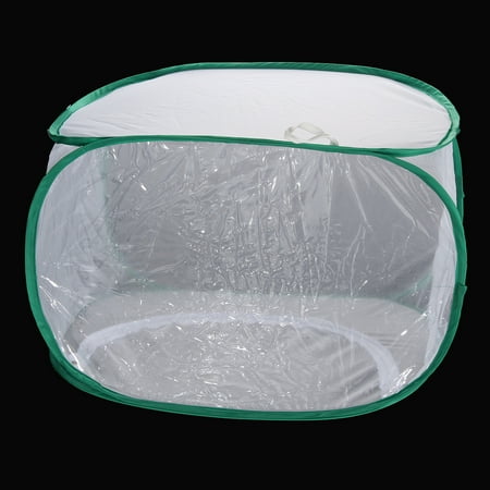 30x30x60cm Insect Cage Praying Mantis Stick Leaf Butterfly Chameleon ...