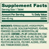 Spring Valley Slow Release Iron General Health & Wellness Dietary ...