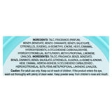 Spring Fresh Tranquil Breeze Dusting Powder, 5 oz - Walmart.com