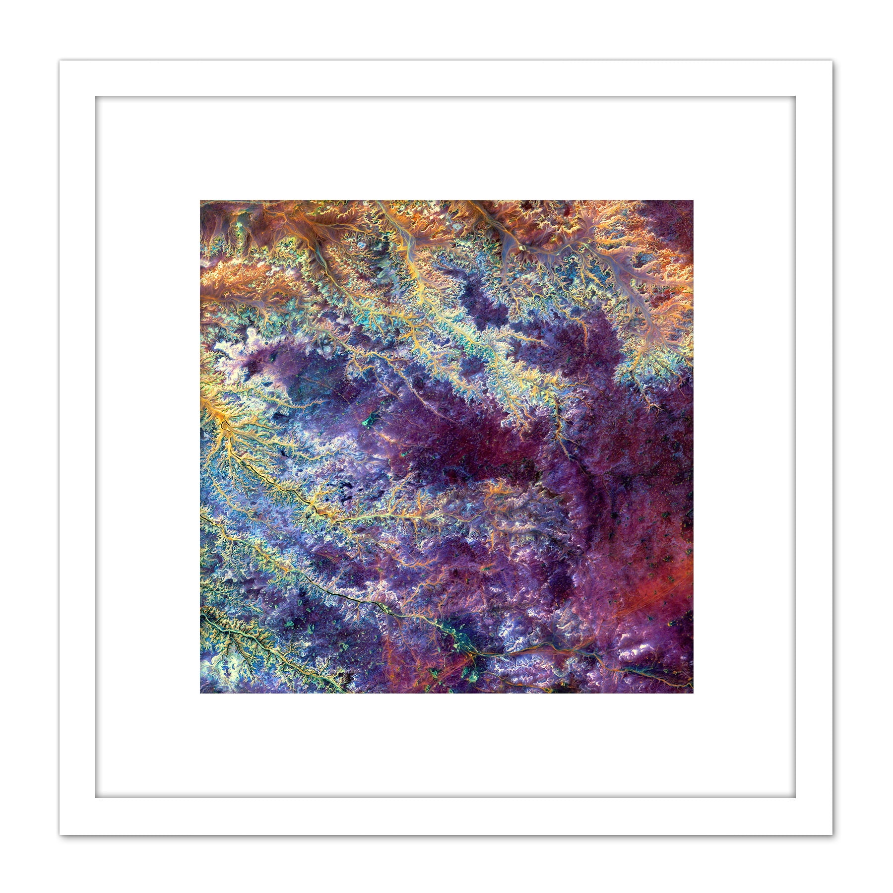 Abstract Bright Plant Roots 8X8 Inch Square Wooden Framed Wall Art ...