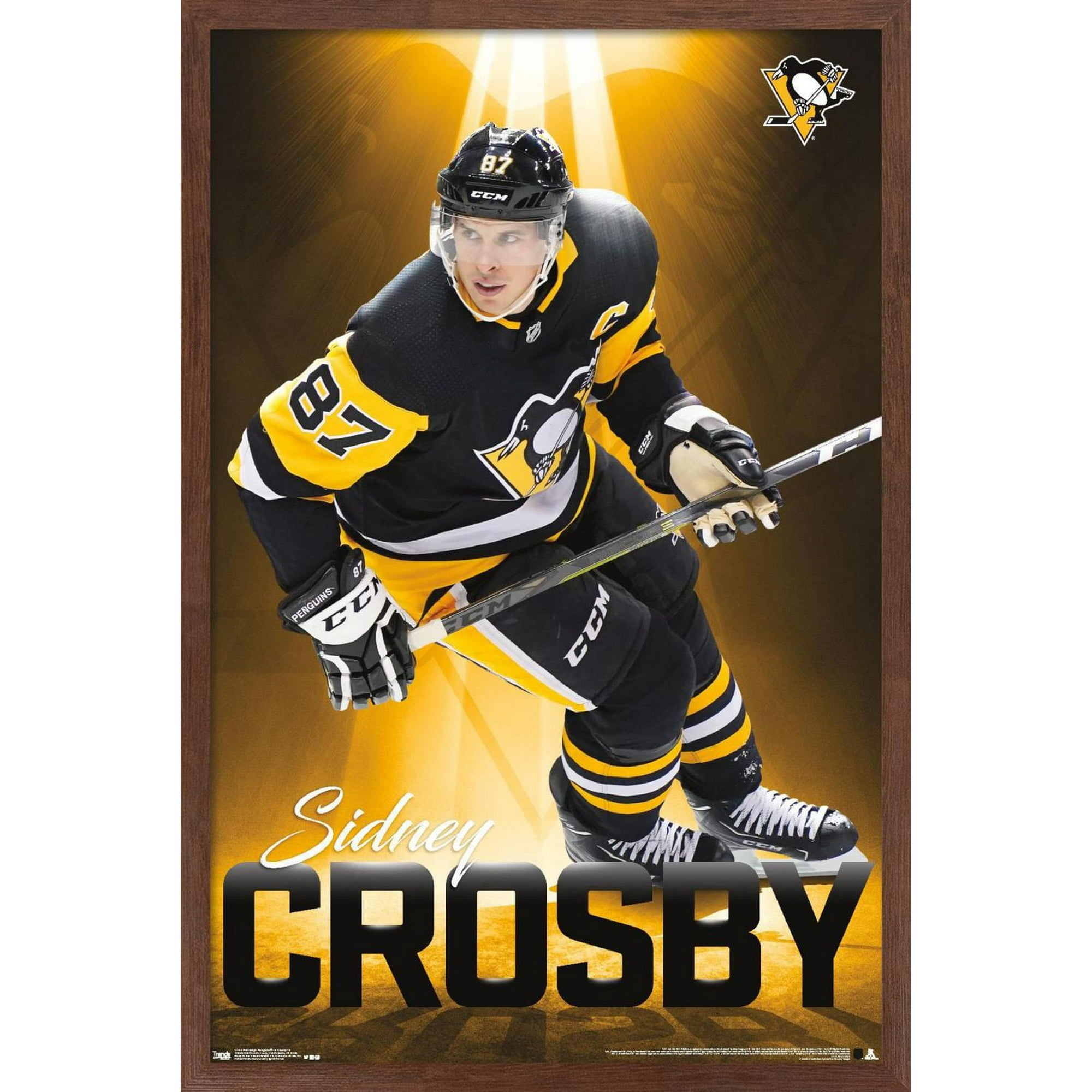Click here for Trends International Nhl Pittsburgh Penguins - Sid... prices