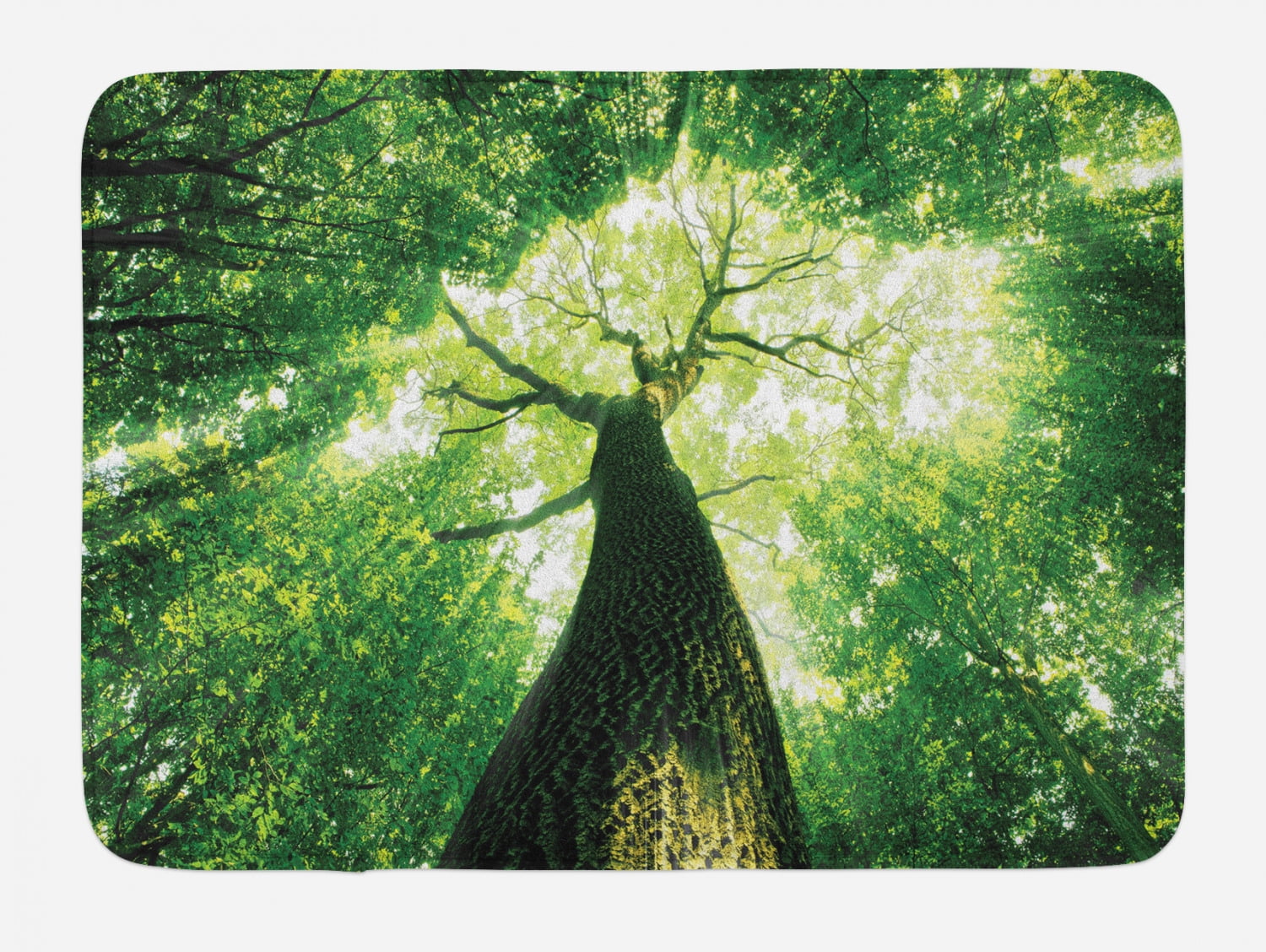 Nature Bath Mat, Sun Rays to Woodland Wild Habitat Summer Rays Dreamy ...