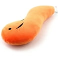 Massive Appendix Plush: Feel It In Your Gut! - Walmart.com