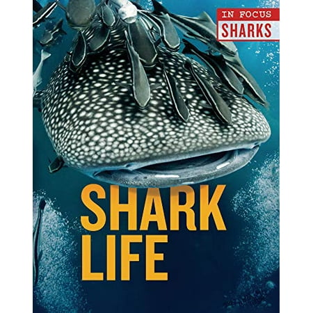 Shark Life (In Focus: Sharks) | Walmart Canada