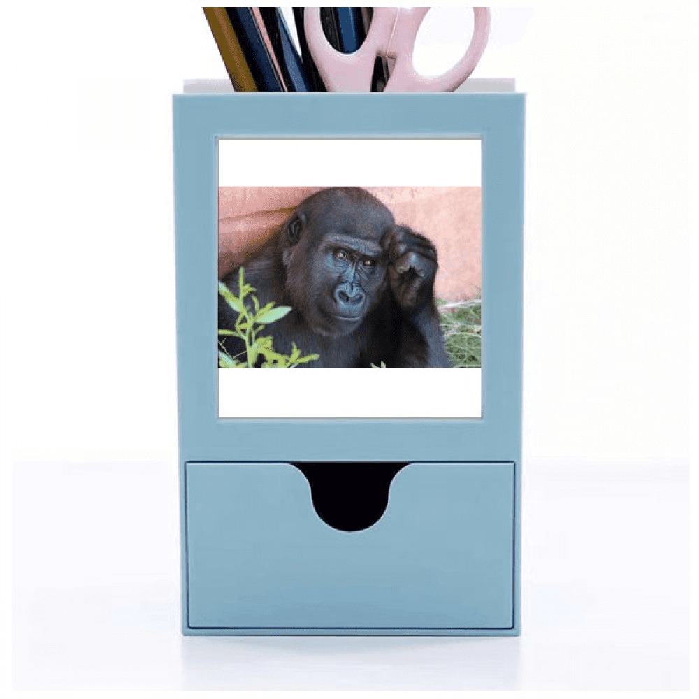 m Animal Chimpanzee Desk Supplies Organizer Pen Holder Card - Walmart.com