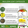 Green People Mullein Leaf Gummies 2000mg, Herbal Respiratory Support ...
