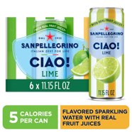 Radenska Naturally Sparkling Mineral Water, Classic, 50.7 Fl Oz, 1 ...